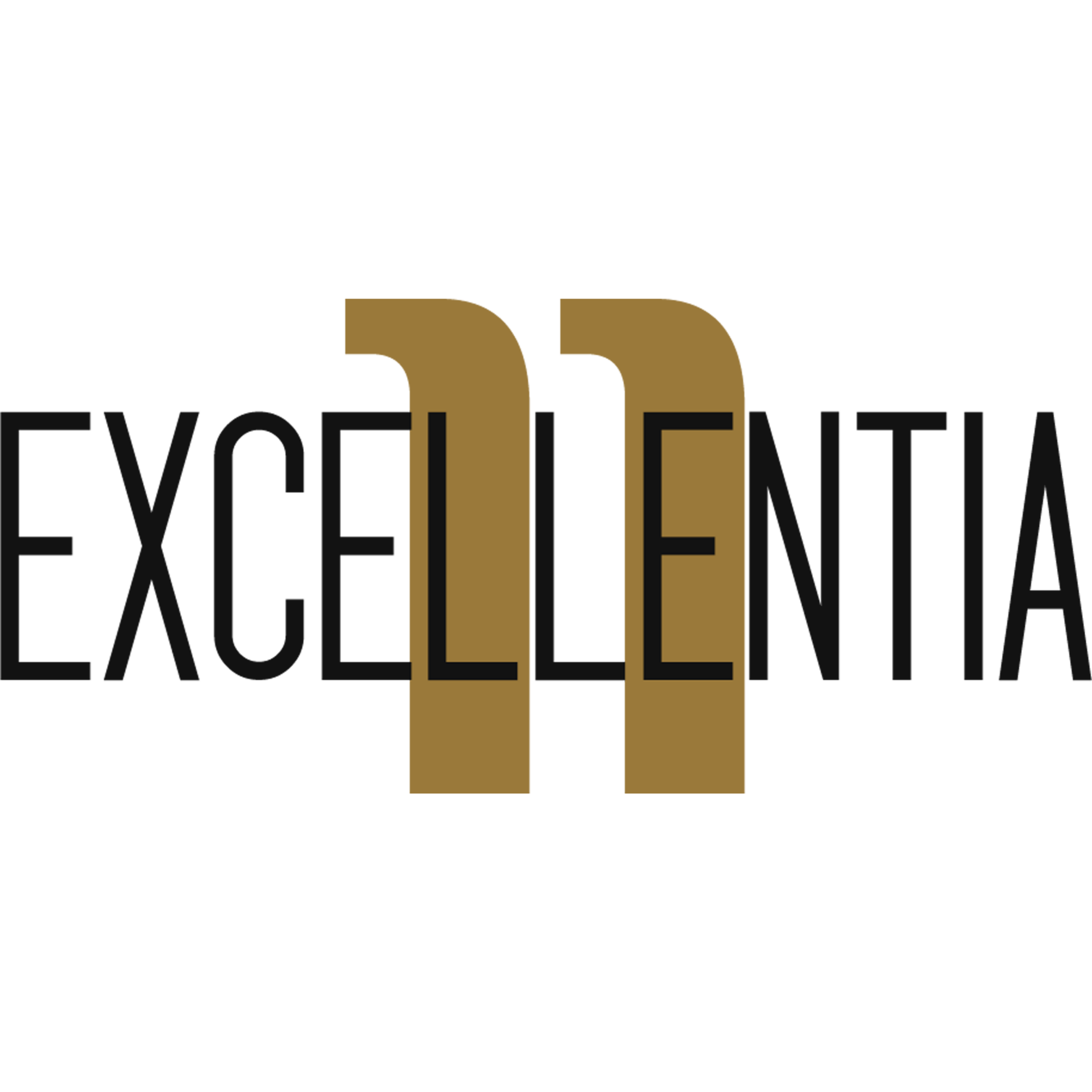 Excellentia - Sport Business Academy